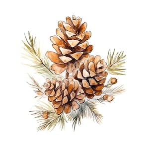 Watercolor Christmas Pine Cones Clipart, High Quality JPG, Digital ...