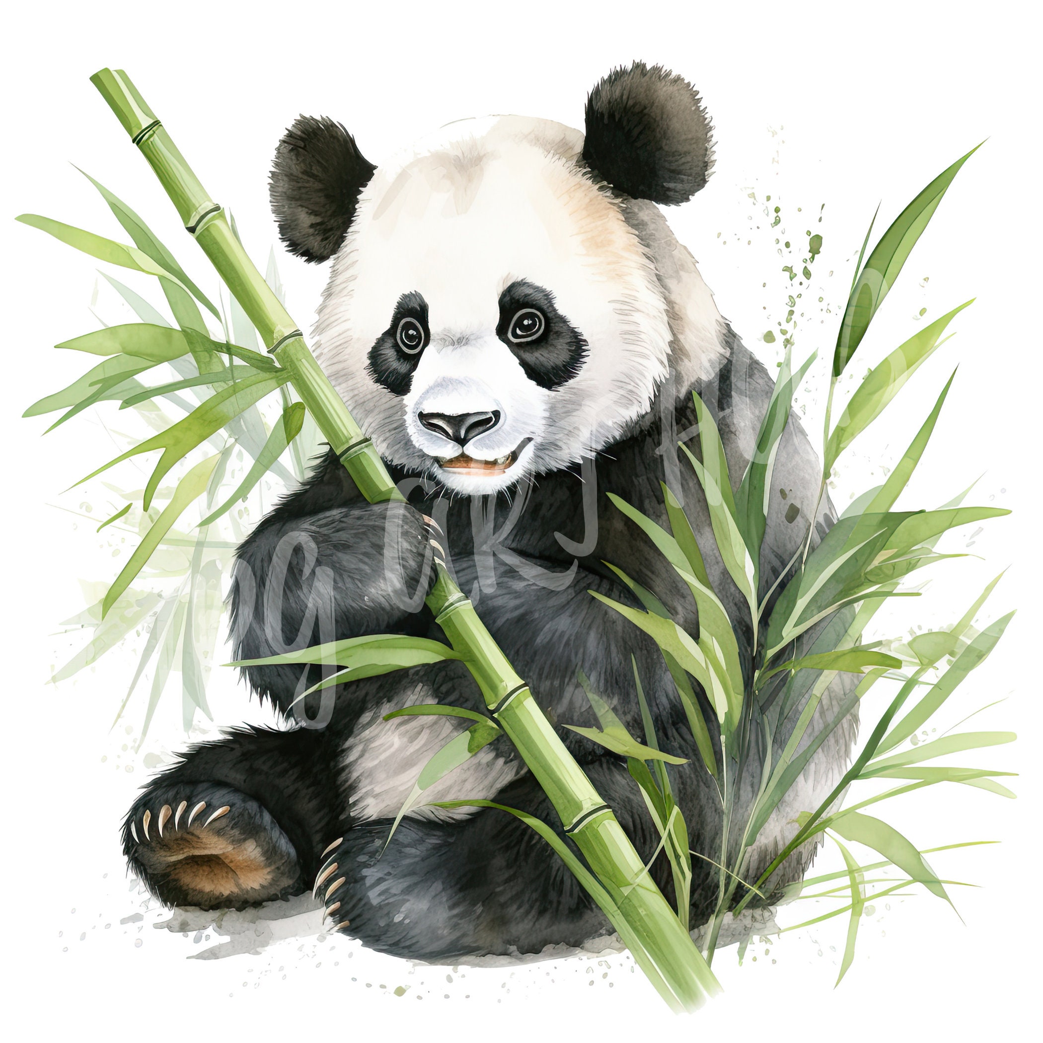Watercolor Cute Panda Clipart Bundle Baby Panda High Quality - Etsy