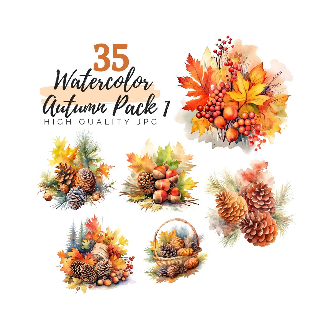 Watercolor Autumn Elements Clipart, Autumn Clipart, Pine Cone ...