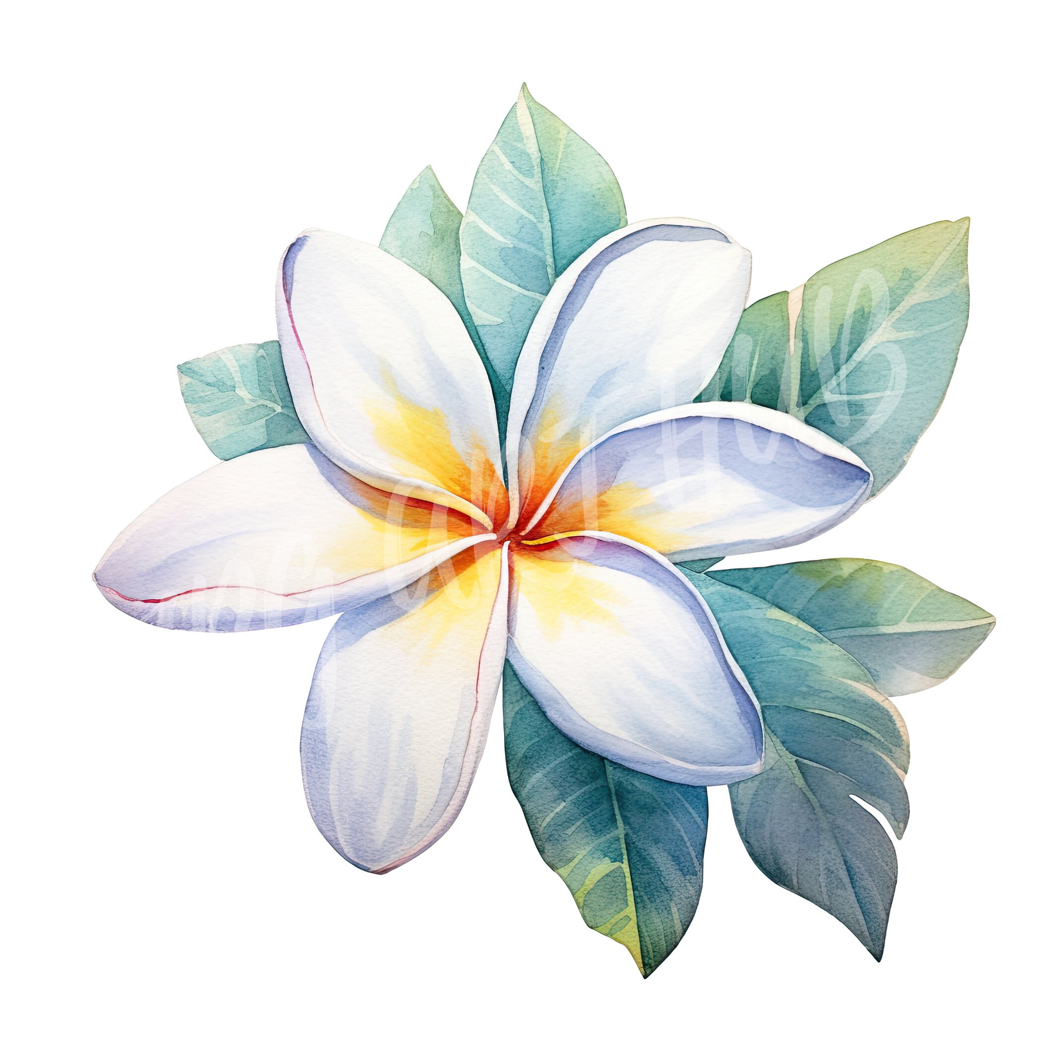 Watercolor Hawaiian Beach Clipart Hawaii Clipart Summer - Etsy