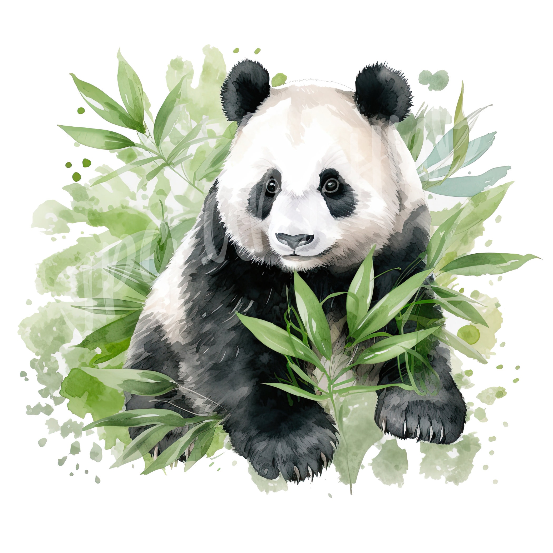 Watercolor Cute Panda Clipart Bundle Baby Panda High Quality - Etsy
