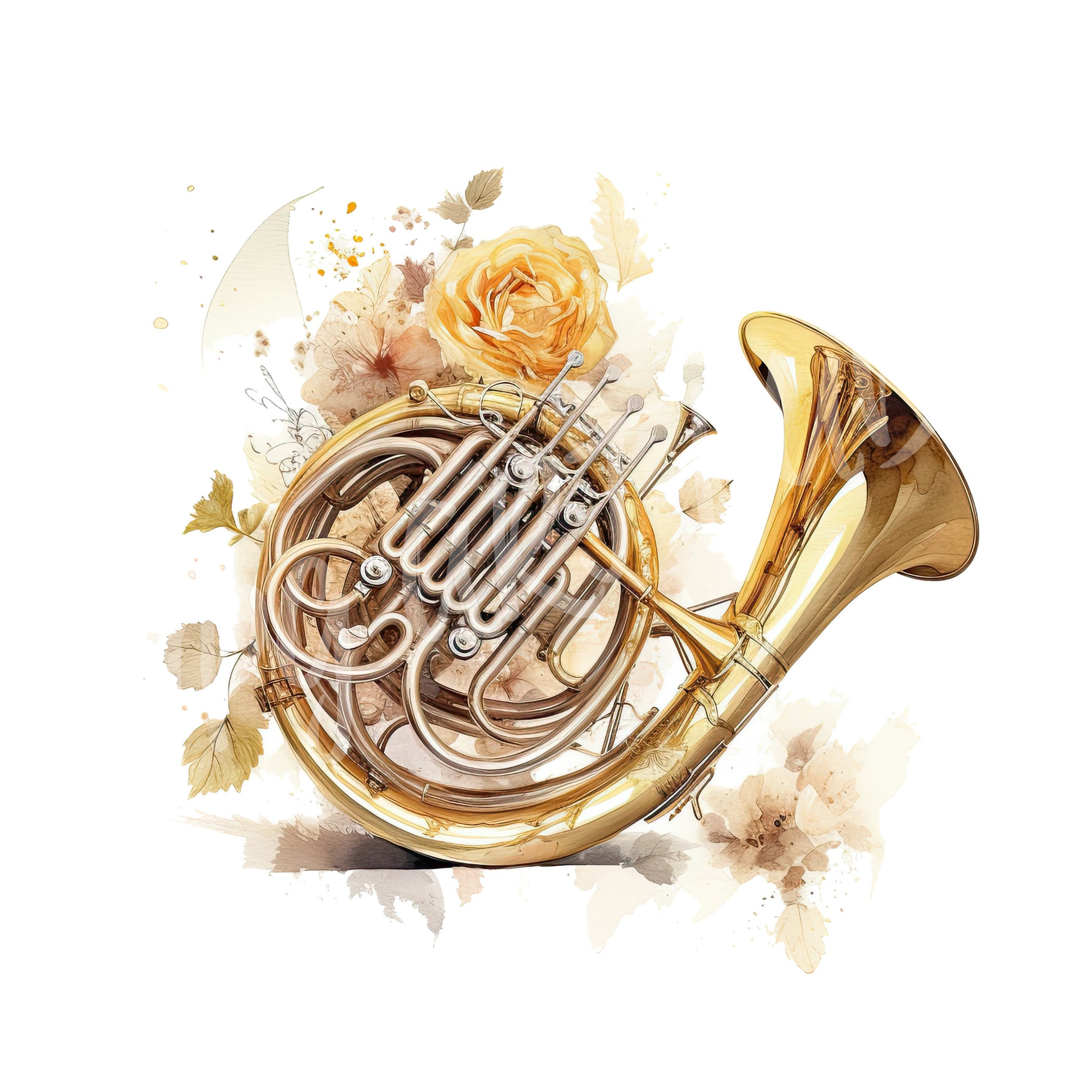 Watercolor Musical Instrument Clipart, Orchestra Clipart, Digital ...