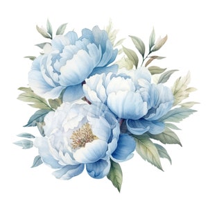Watercolor Blue Peonies Clipart, Flower Clipart, Digital Download ...