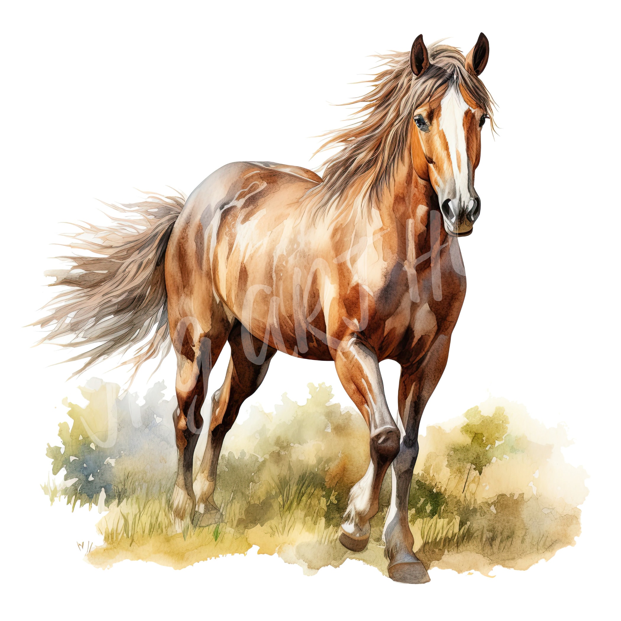 Watercolor Wild Horses Clipart, Western Clipart, High Quality JPG ...