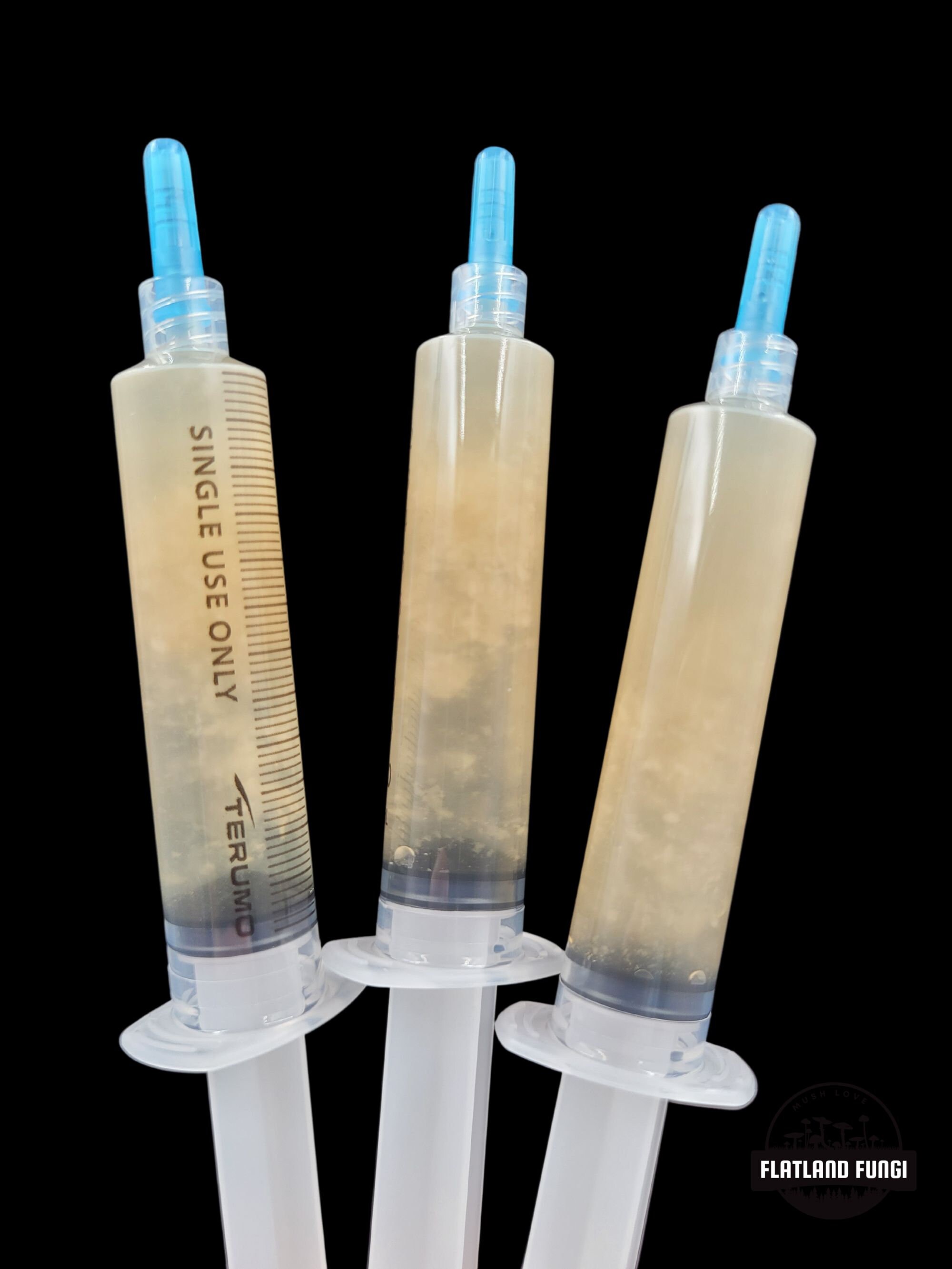 12 Ml Lions Mane Mushroom Liquid Culture Syringe Live Mycelium Grow Mushrooms at Home - Etsy