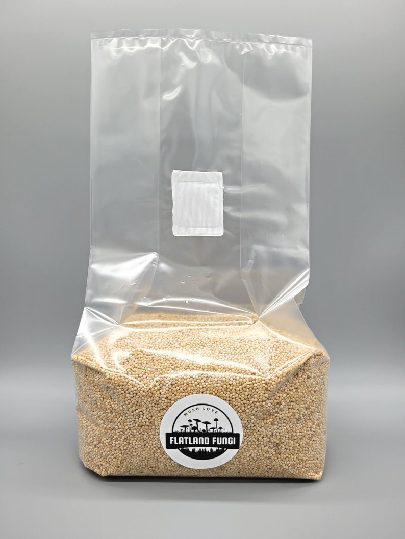Pre-sterilized | Millet Mushroom Grain Spawn | Injection Port | Grow ...