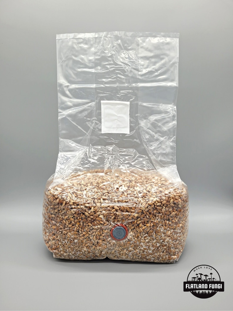 Pre-sterilized | Rye Mushroom Grain Spawn | Injection Port | Grow ...