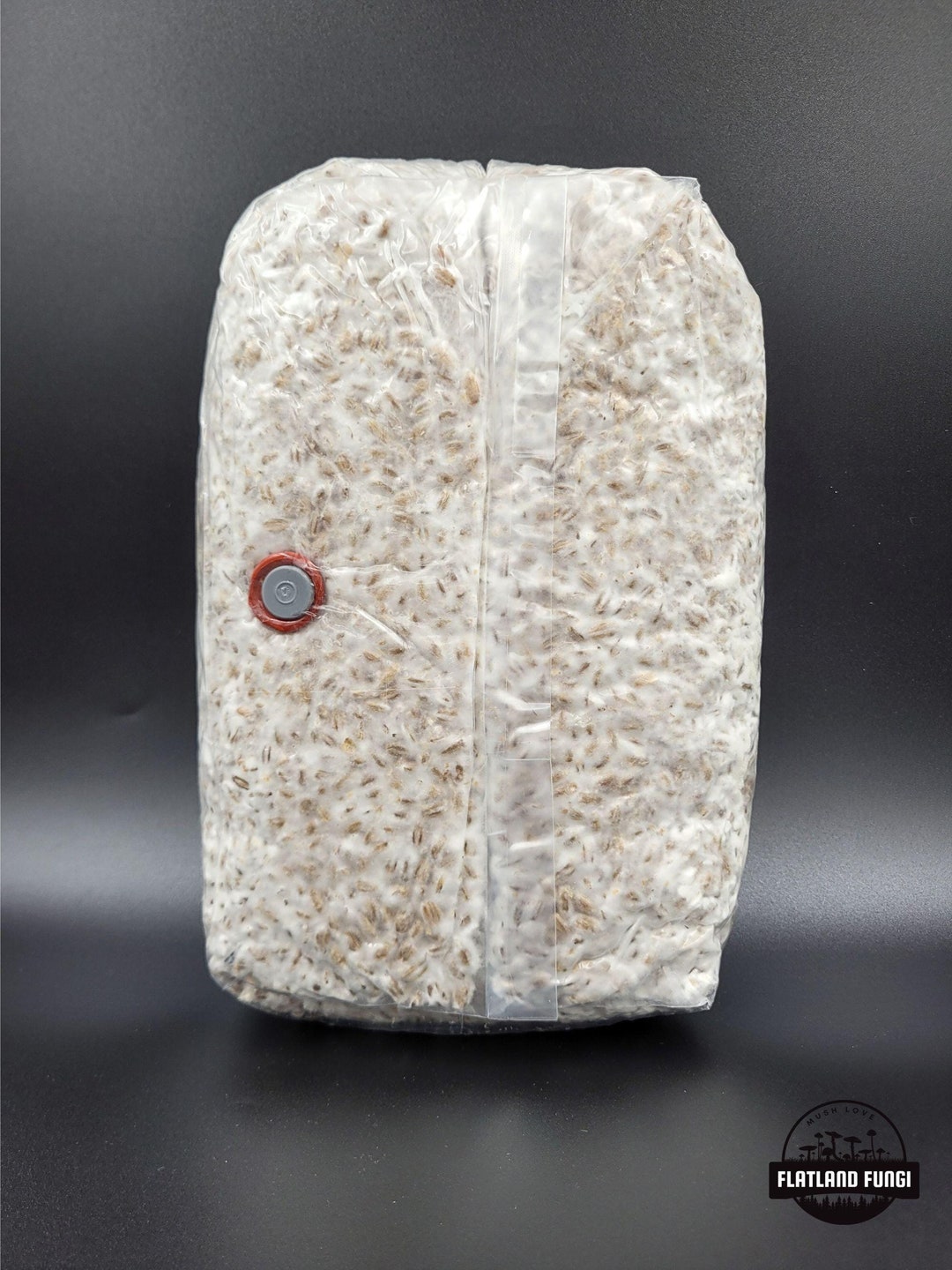 1 LB Mycelium Colonized Mushroom Spawn Bag | Choose Lion's Mane, Blue ...