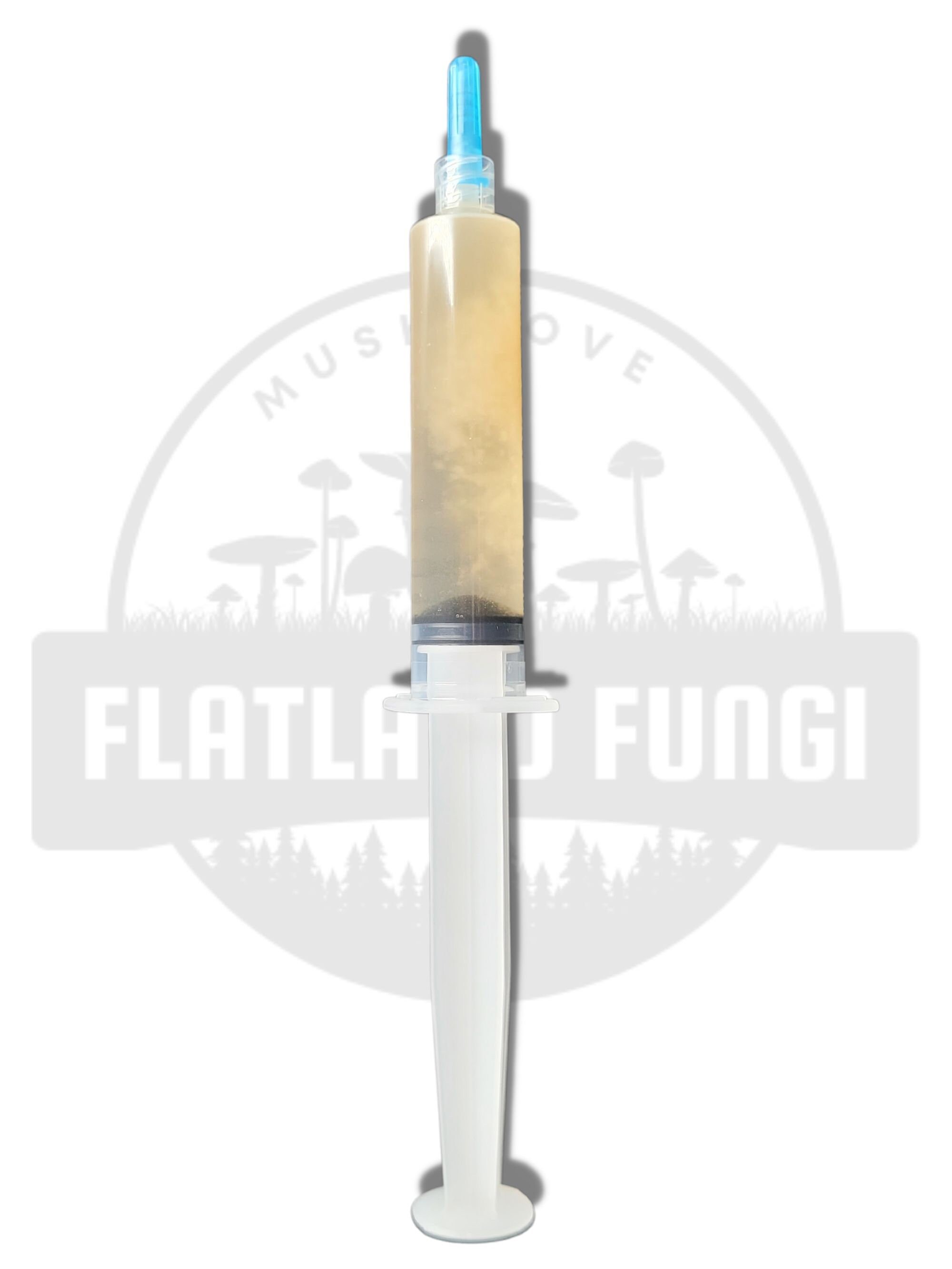 12 Ml Lions Mane Mushroom Liquid Culture Syringe Live Mycelium Grow Mushrooms at Home - Etsy