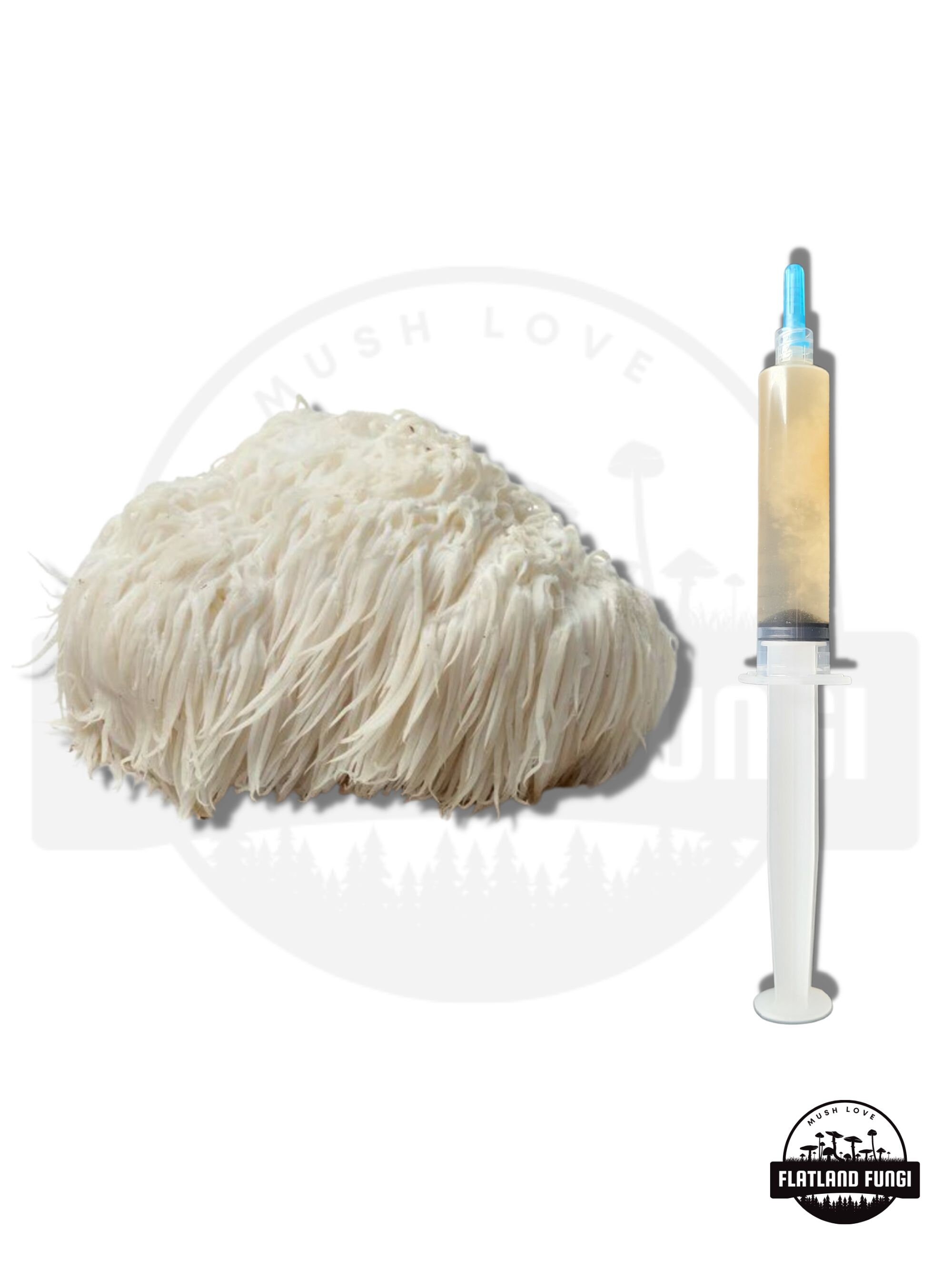 12 Ml Lions Mane Mushroom Liquid Culture Syringe Live Mycelium Grow Mushrooms at Home - Etsy