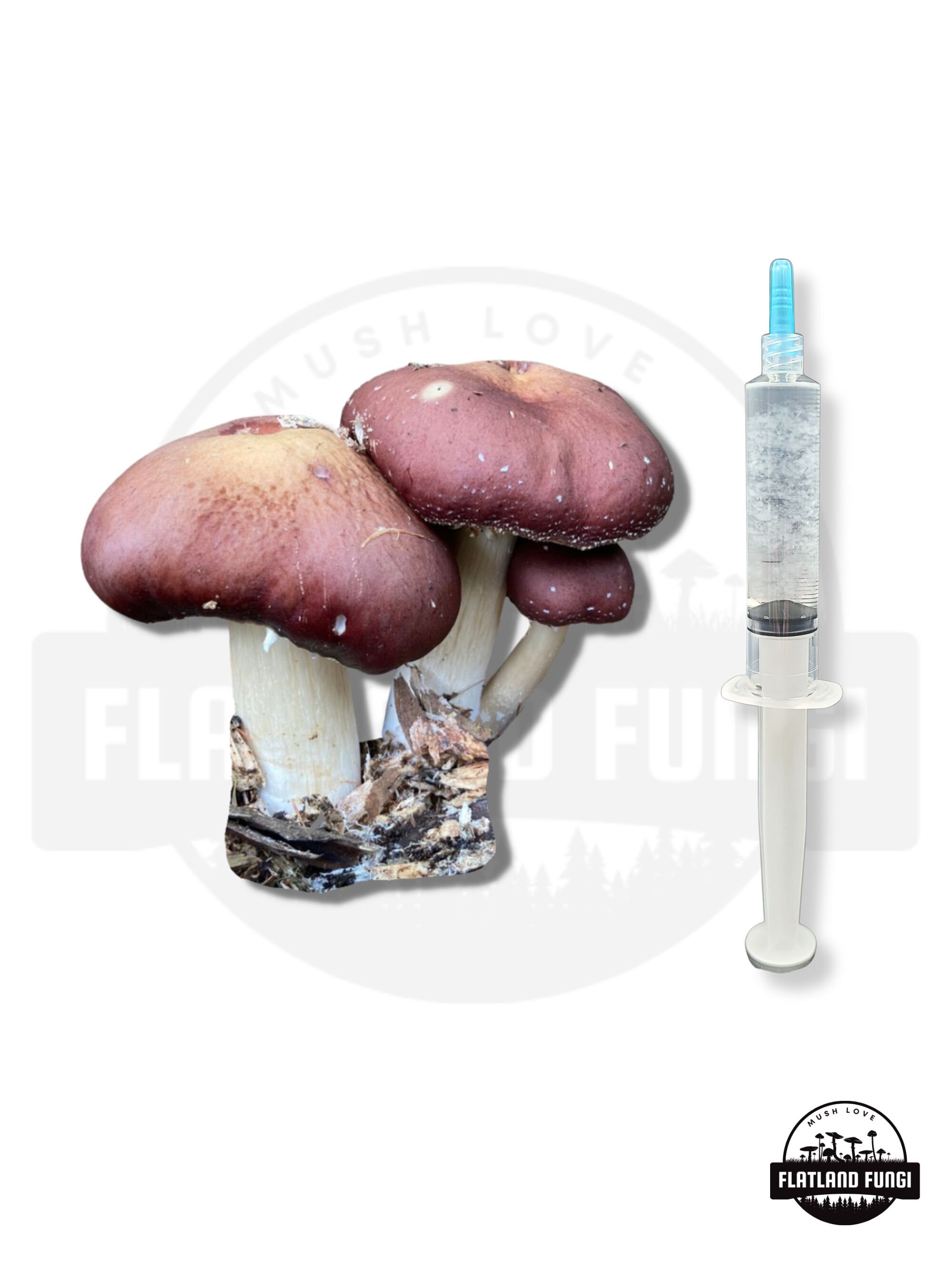 10 Ml - Mushroom Liquid Culture Syringe | Thick Live Mycelium | Grow ...
