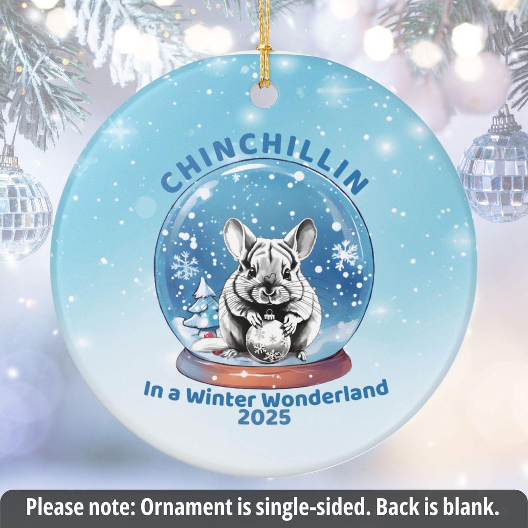 Chinchilla Ceramic Ornament 2025: Winter Wonderland Holiday Decoration ...