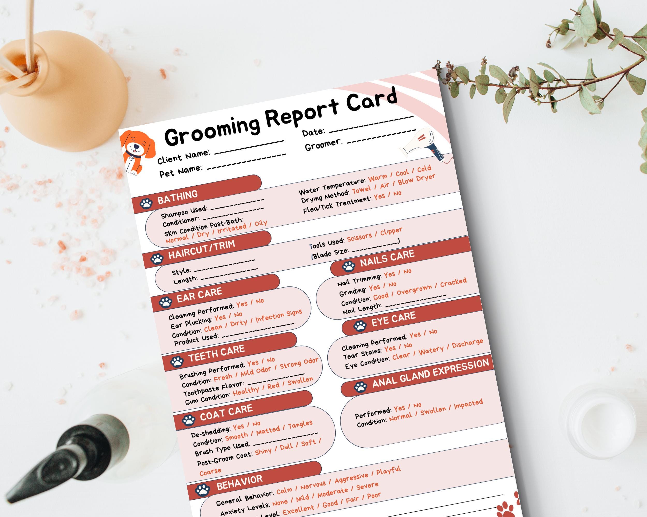 Editable Grooming Report Card Template Dog Grooming Report Pet Spa ...