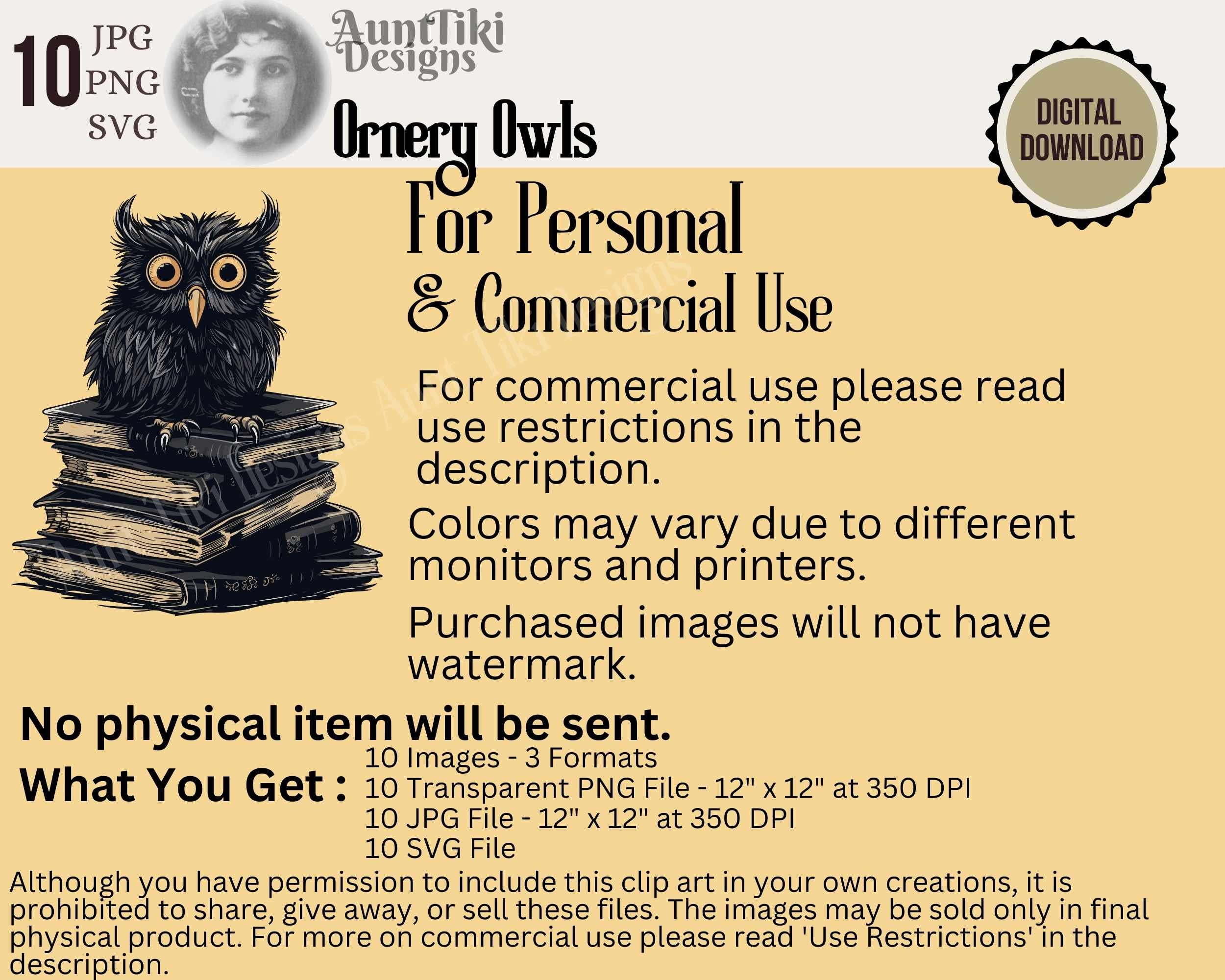 Ornery Owls SVG, PNG, JPG Owl Clipart, Owl Printable, Cute Owl Figures ...