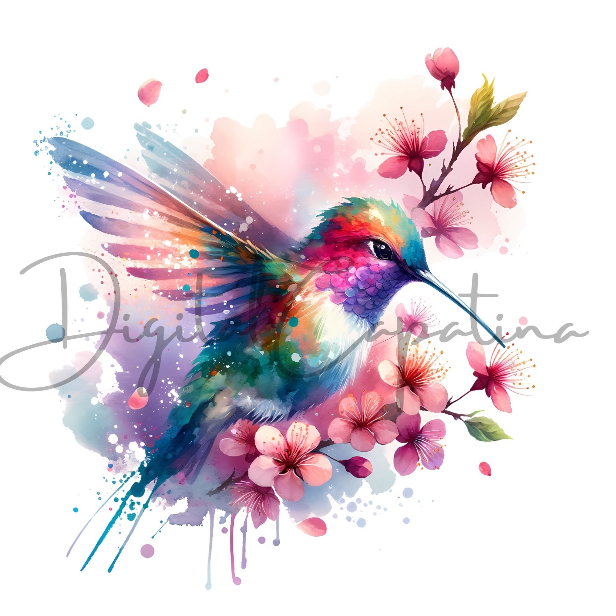 Watercolor Hummingbird Clipart 15 PNG Digital Download Mixed Media ...