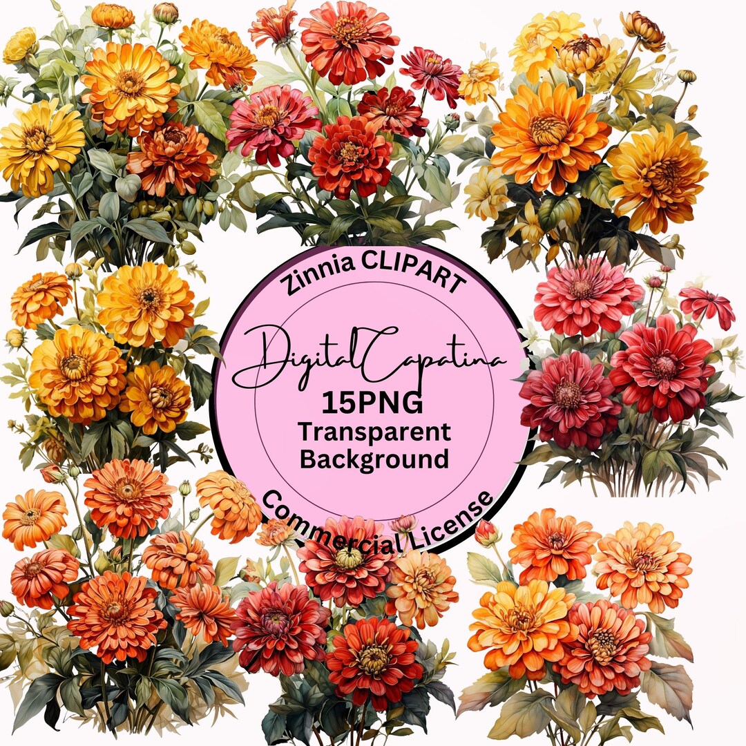 Zinnia Clipart, Fall Clipart, Floral Clipart, Wedding Clipart, Digital ...