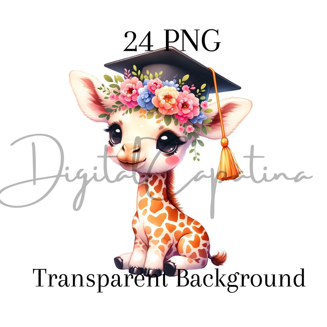 Watercolor Graduate Baby Animals Clipart 24 PNG Digital Download Mixed ...