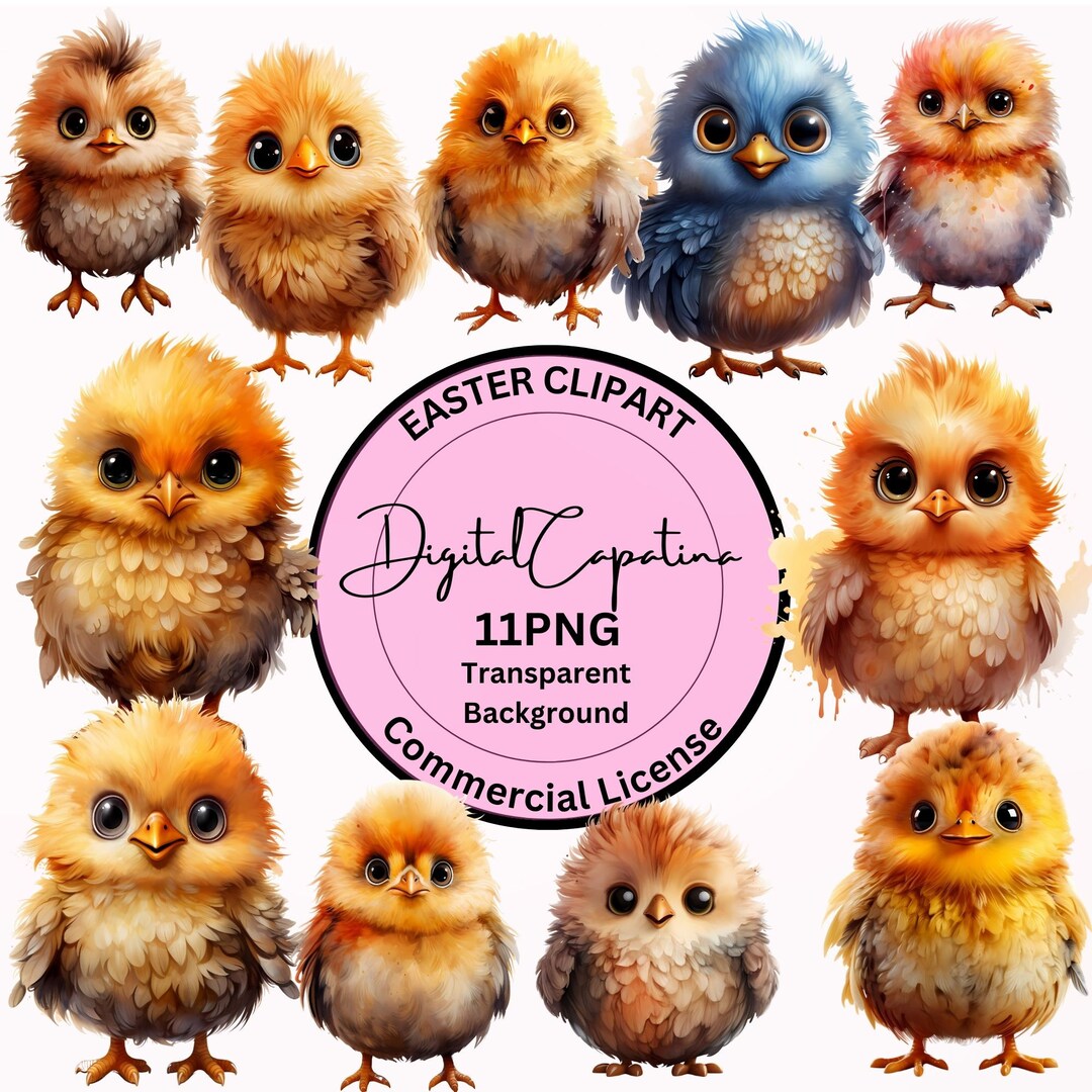 Easter Clipart, Easter Png, Baby Chick Clipart, Spring Clipart, Digital ...
