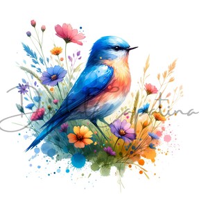 Watercolor Blue Bird Clipart 13 PNG Digital Download Forest Animals ...