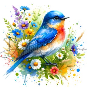 Watercolor Blue Bird Clipart 13 PNG Digital Download Forest Animals ...