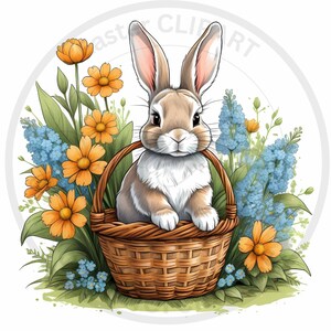 Easter Bunny 12 High Quality Jpgs, Easter Clipart, Spring Clipart ...