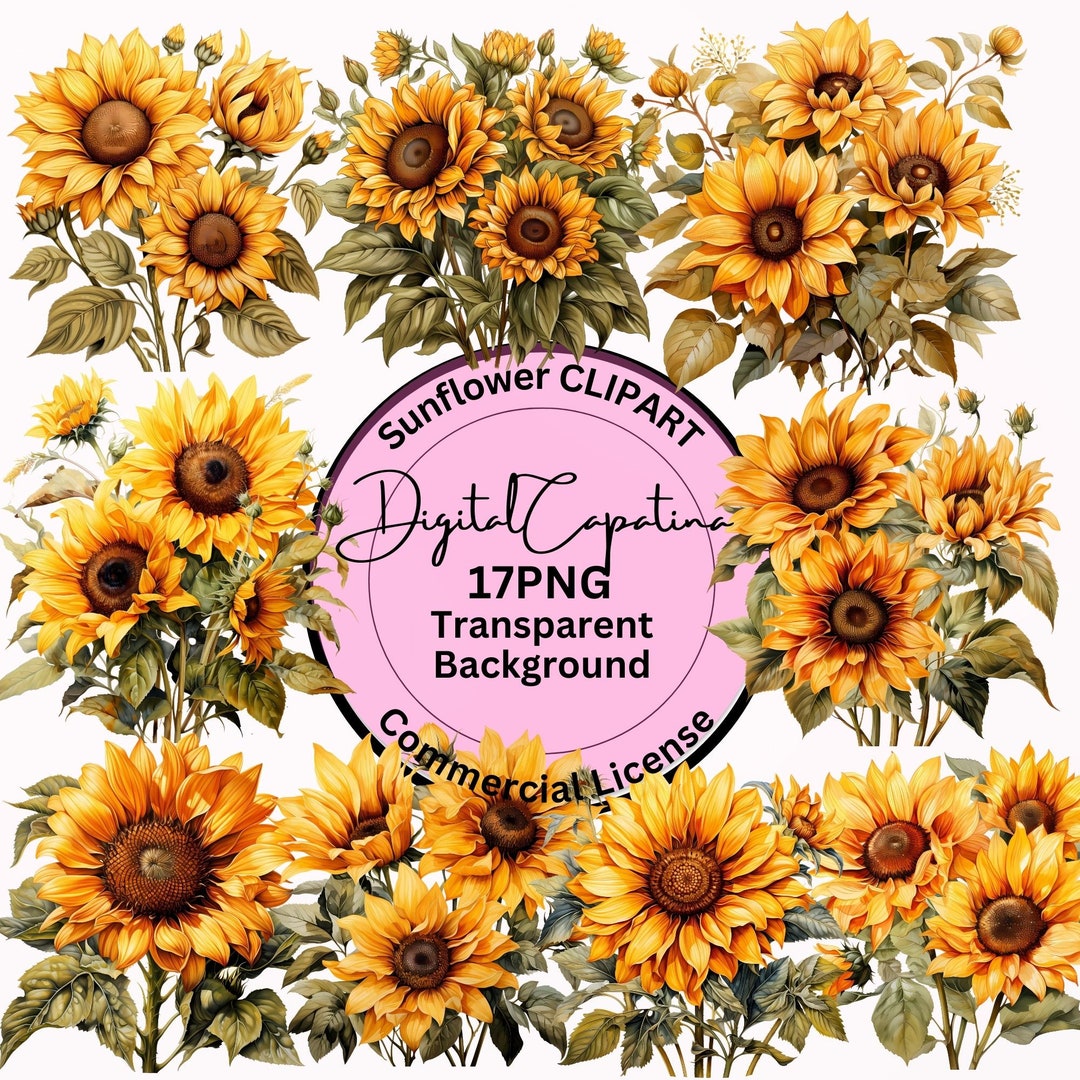 Sunflower Clipart, Fall Clipart, Floral Clipart, Wedding Clipart ...