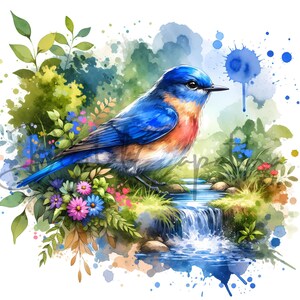 Watercolor Blue Bird Clipart 13 PNG Digital Download Forest Animals ...