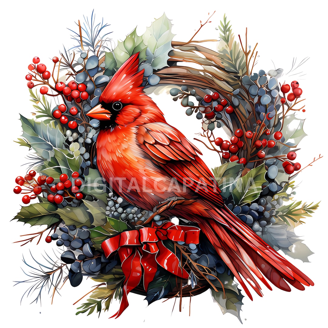 Christmas Red Cardinal Clipart 11 High Quality Jpgs, Digital Download ...
