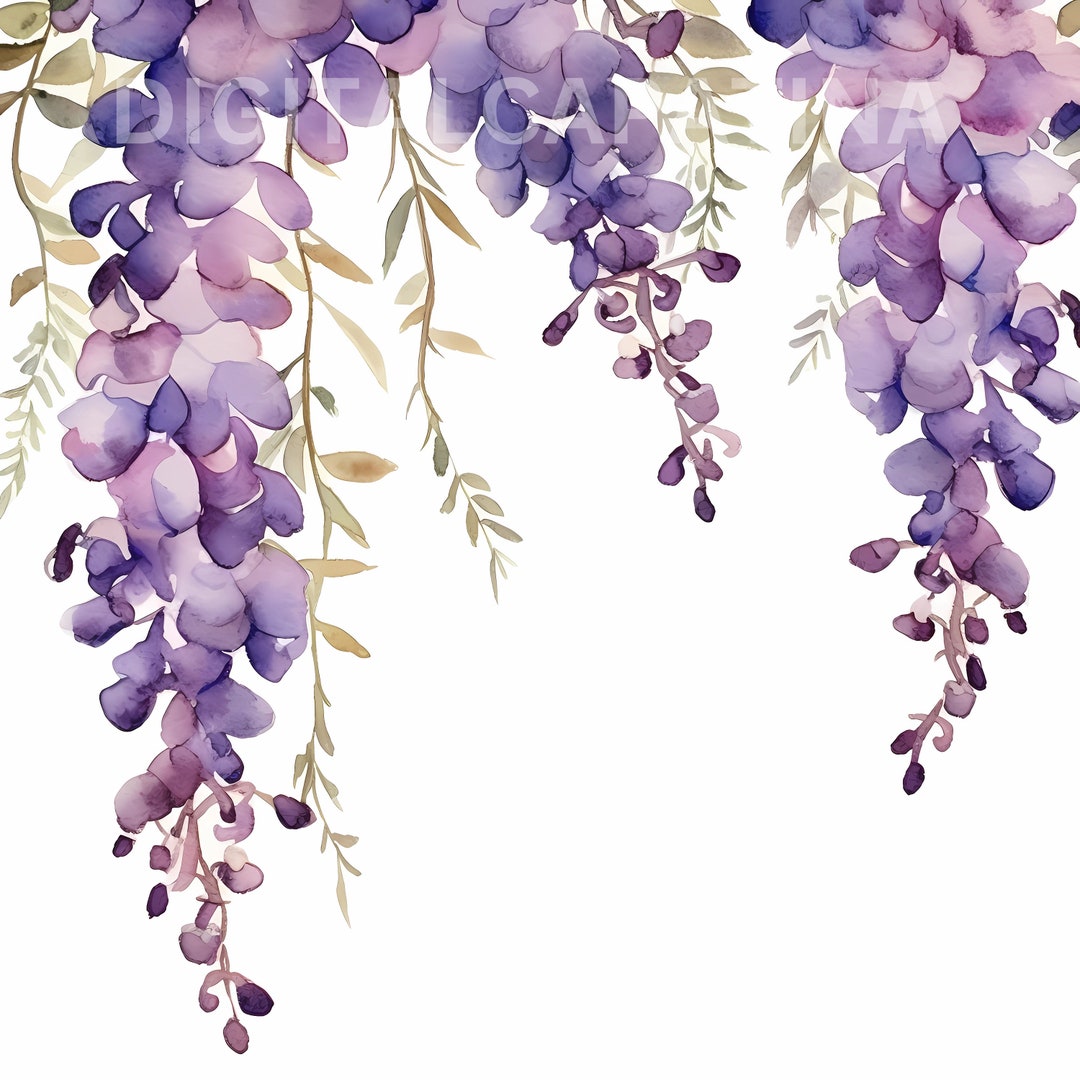 Wisteria Frame Clipart - 14 High Quality Jpgs - Digital Downloads ...