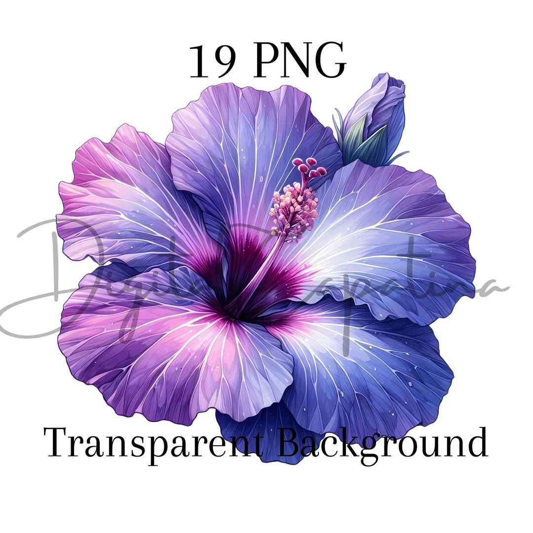 Watercolor Hibiscus Flowers Clipart 19 PNG Digital Download Watercolor ...
