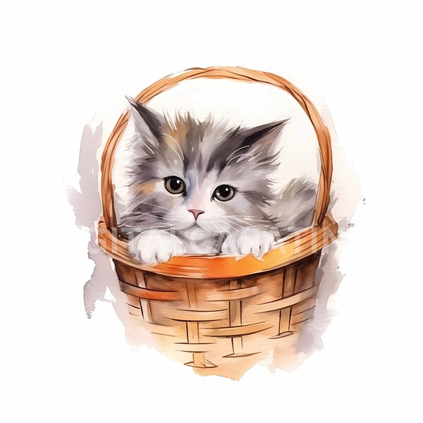Cute Cat Clipart - Etsy