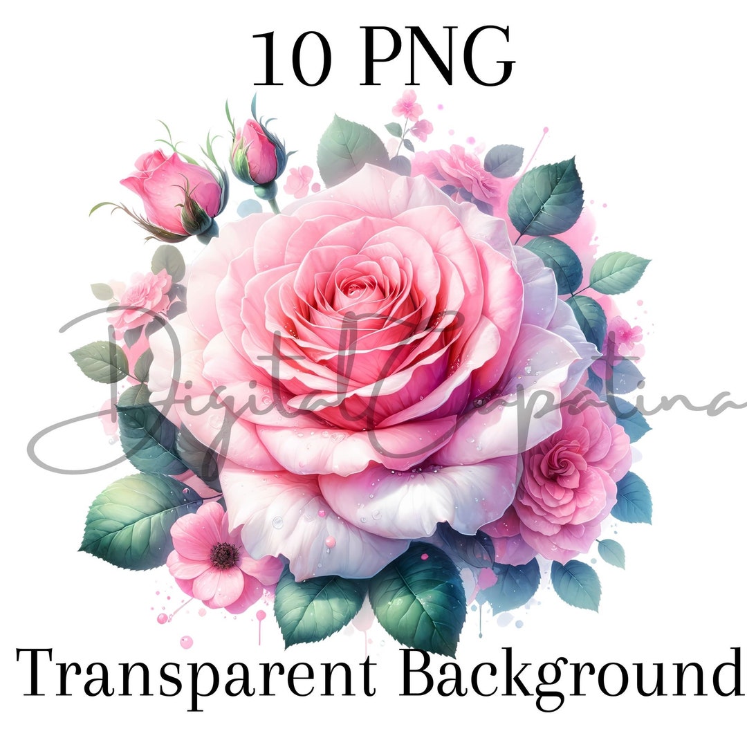 Pink Roses Clipart 10 PNG Roses Bouquet Garden Roses Digital Download ...
