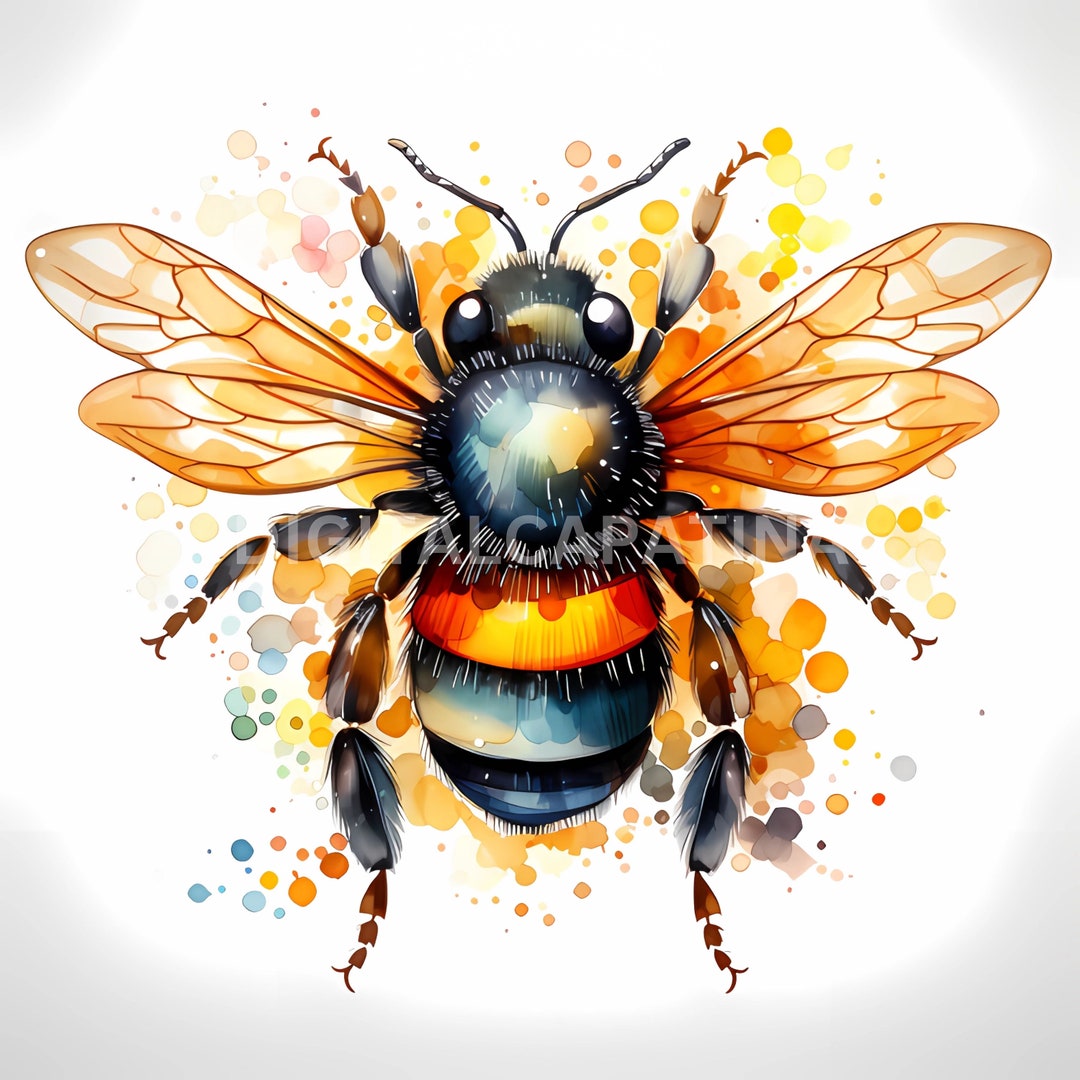 Bumblebee Clipart Digital Download, 12 High Quality Jpgs, Card Making ...