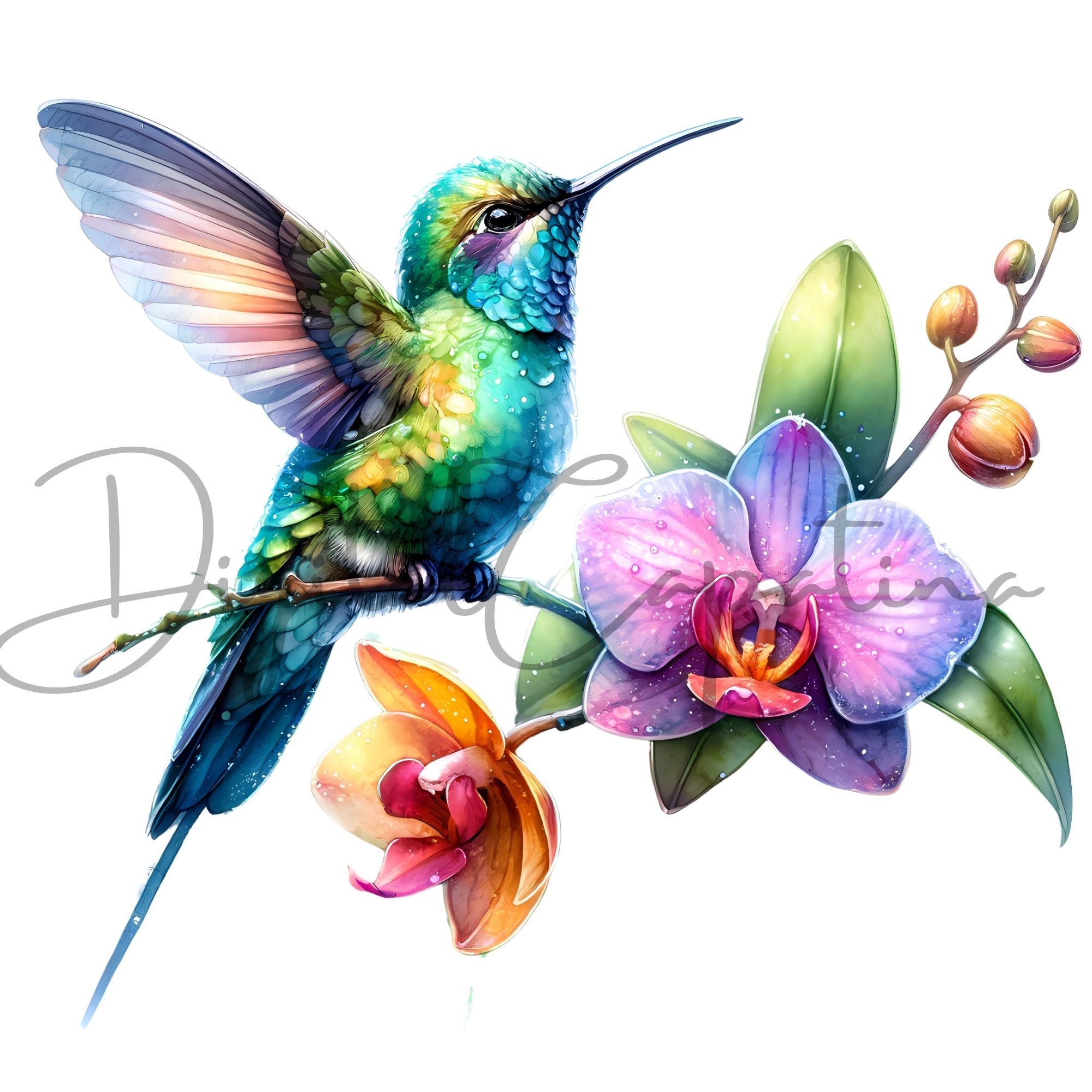 Watercolor Hummingbird Clipart 15 PNG Digital Download Mixed Media ...