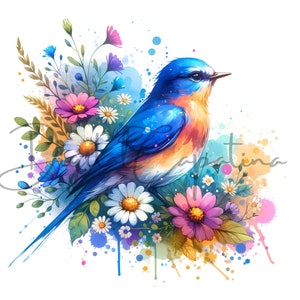 Watercolor Blue Bird Clipart 13 PNG Digital Download Forest Animals ...