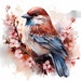 Sparrow Bird Clipart 14 High Quality Jpgs, Digital Download, Card ...