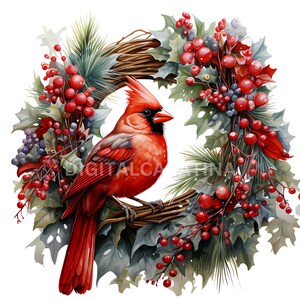 Christmas Red Cardinal Clipart 11 High Quality Jpgs, Digital Download ...
