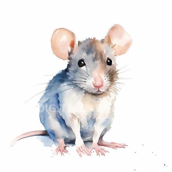 Rat Art - Etsy