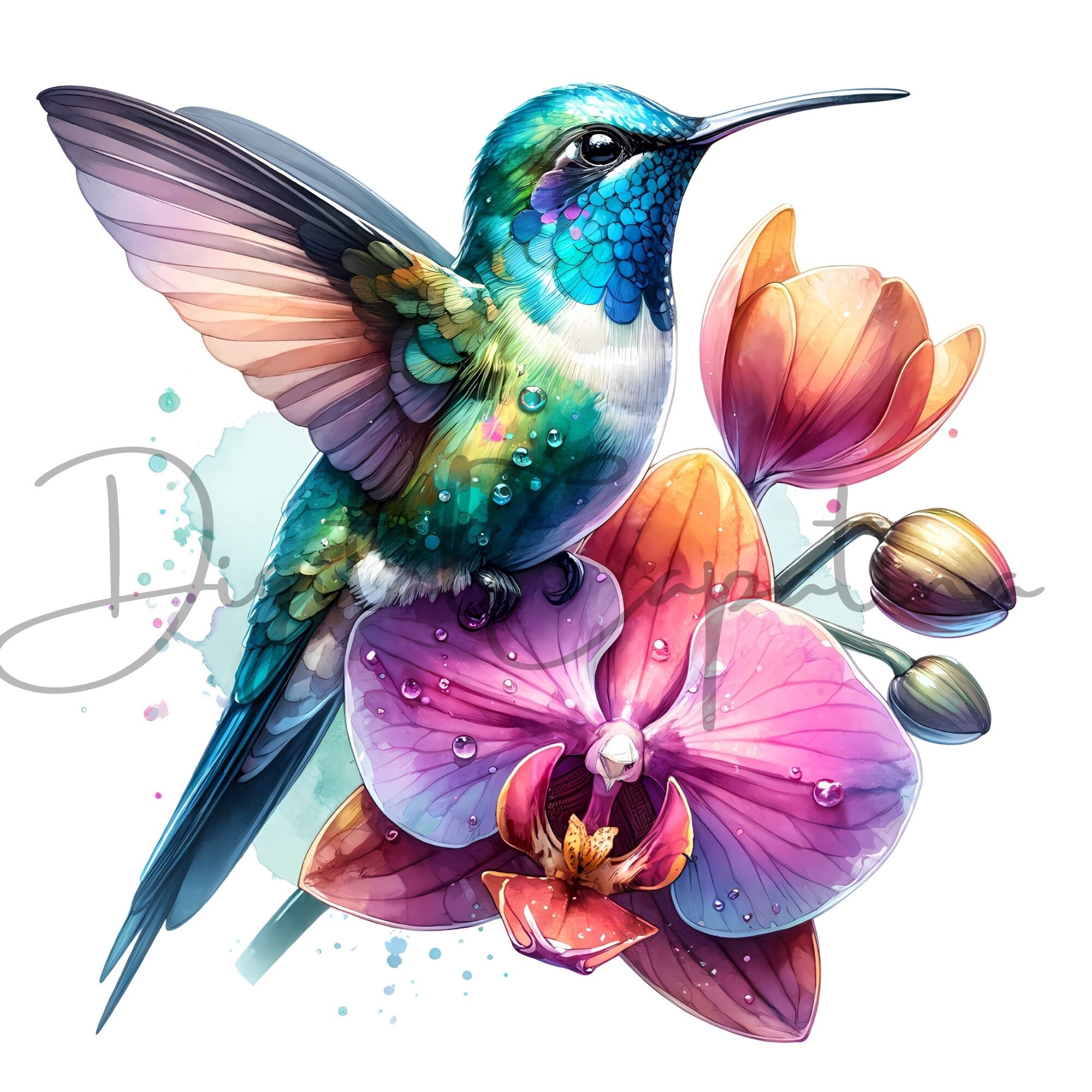 Watercolor Hummingbird Clipart 15 PNG Digital Download Mixed Media ...