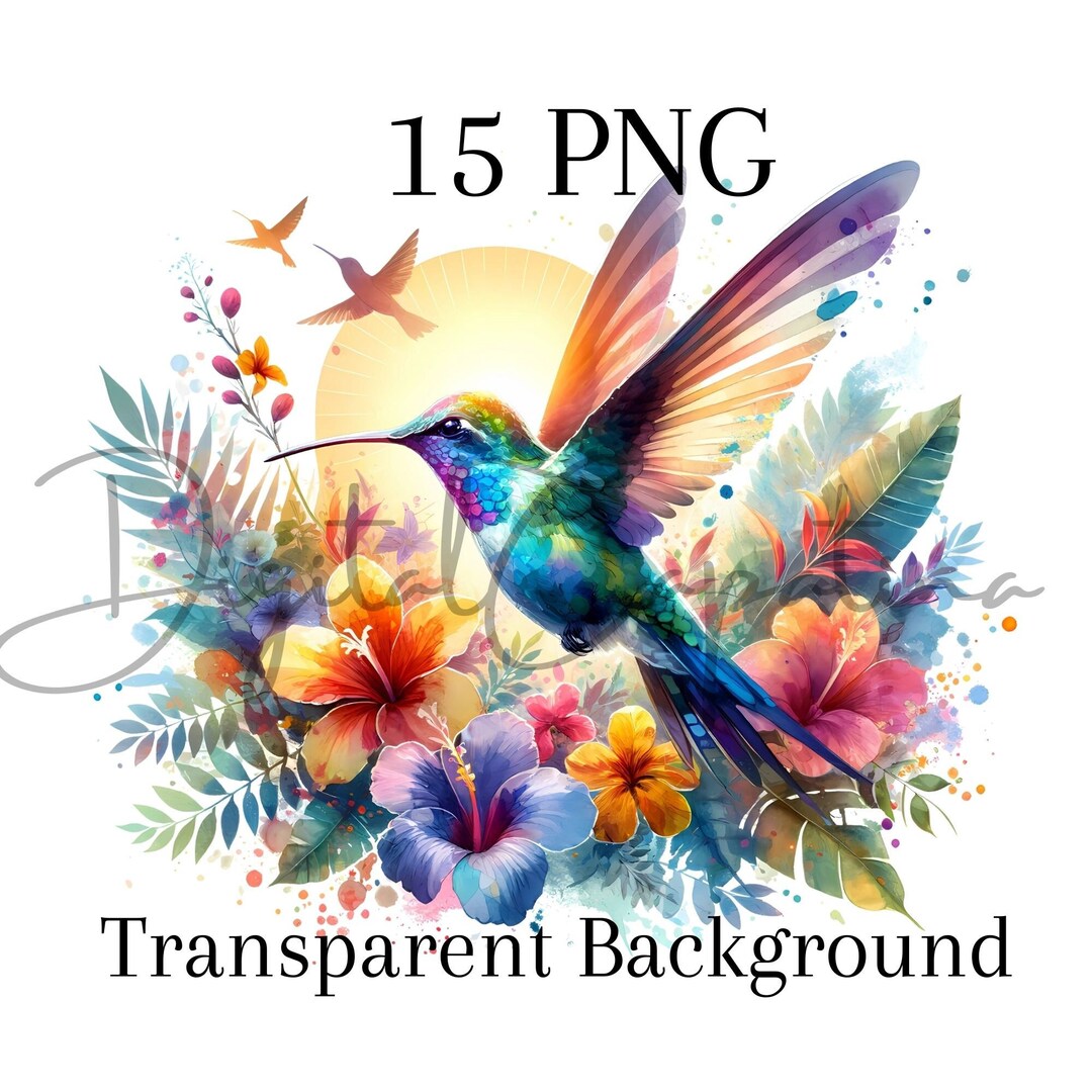 Watercolor Hummingbird Clipart 15 PNG Digital Download Mixed Media ...