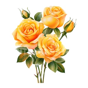 Yellow Roses Clipart 10 High Quality Jpgs, Digital Downloads,wedding ...