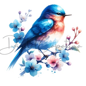 Watercolor Blue Bird Clipart 13 PNG Digital Download Forest Animals ...