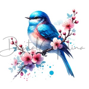 Watercolor Blue Bird Clipart 13 PNG Digital Download Forest Animals ...