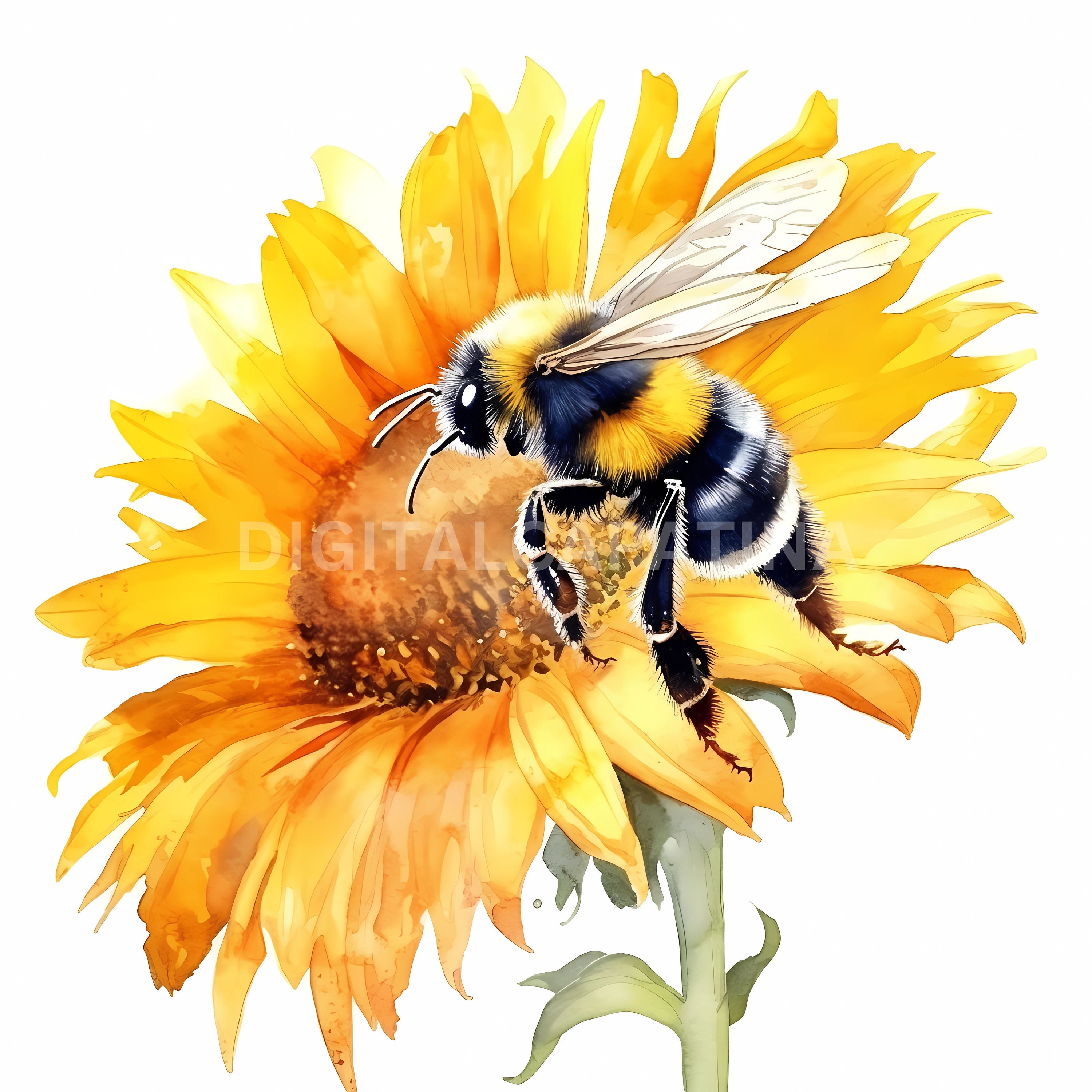 Bumblebee Clipart 9 High Quality Jpgs, Digital Download, Card Making ...