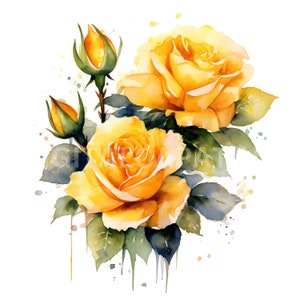 Yellow Roses Clipart 10 High Quality Jpgs, Digital Downloads,wedding ...