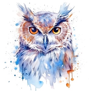 Owl Clipart 12 High Quality Jpgs, Digital Download, Card Making, Mixed ...