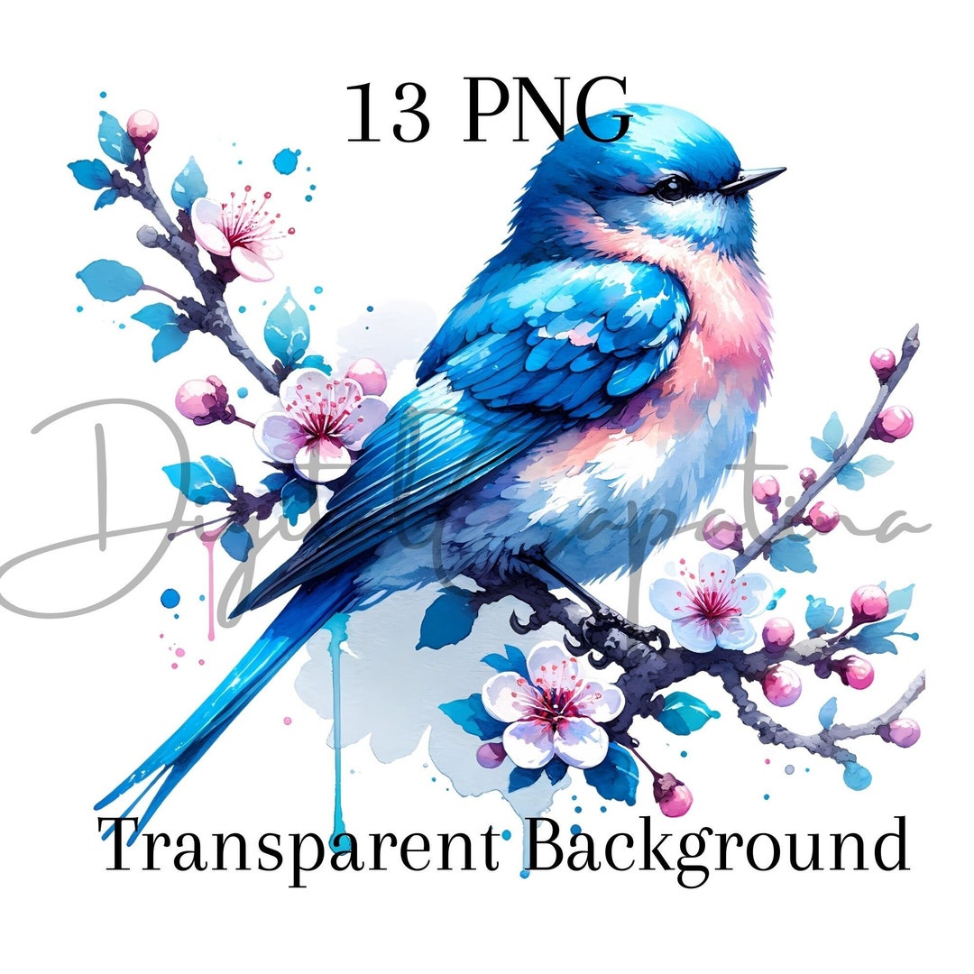 Watercolor Blue Bird Clipart 13 PNG Digital Download Forest Animals ...