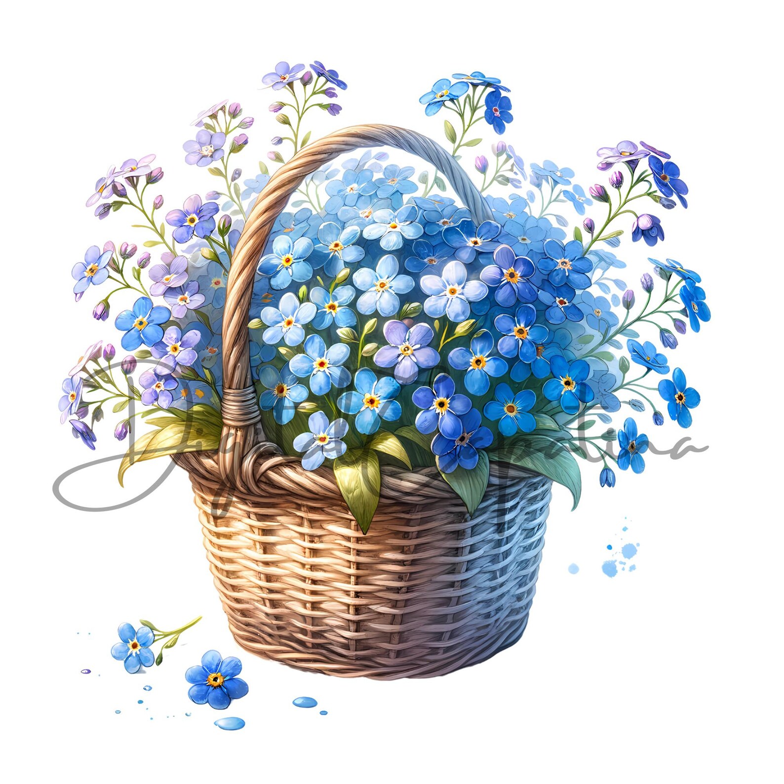 Watercolor Forget Me Not Clipart 14 PNG Floral Basket Digital Download ...
