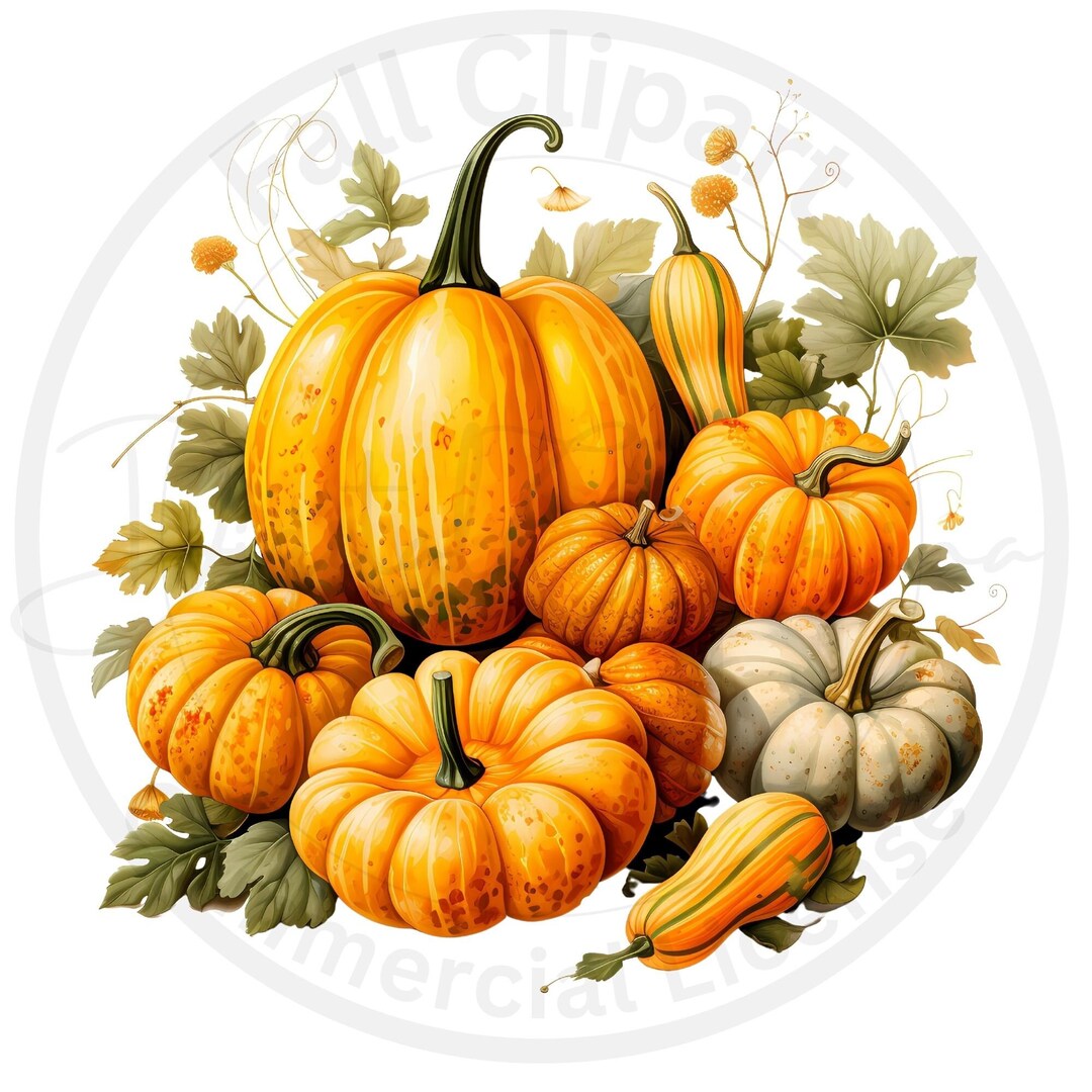 Pumpkin Clipart Fall Clipart 19 High Quality Jpgs, Thanksgiving Clipart ...
