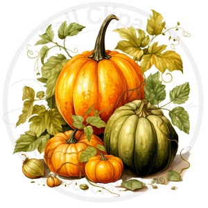 Pumpkin Clipart Fall Clipart 19 High Quality Jpgs, Thanksgiving Clipart ...